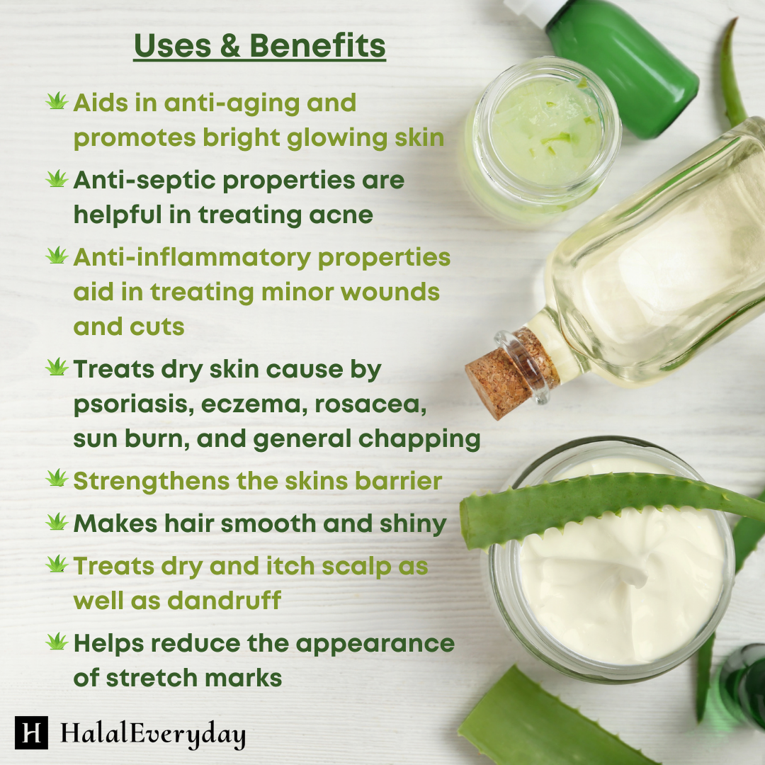 Aloe Vera Butter – HalalEveryday